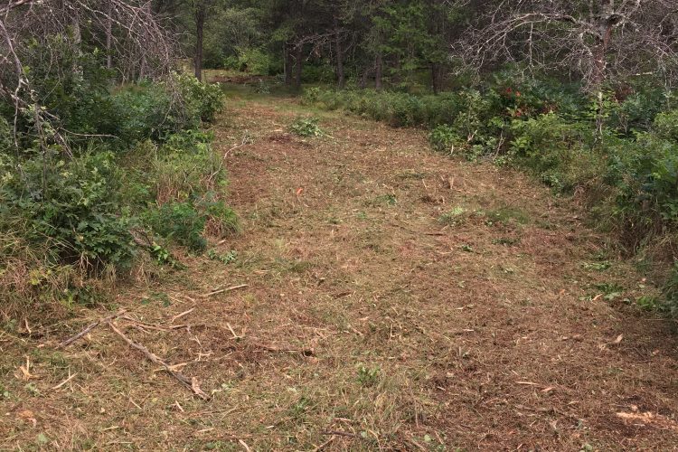 Excavating and Earthwork Land Clearing - BKC Construction